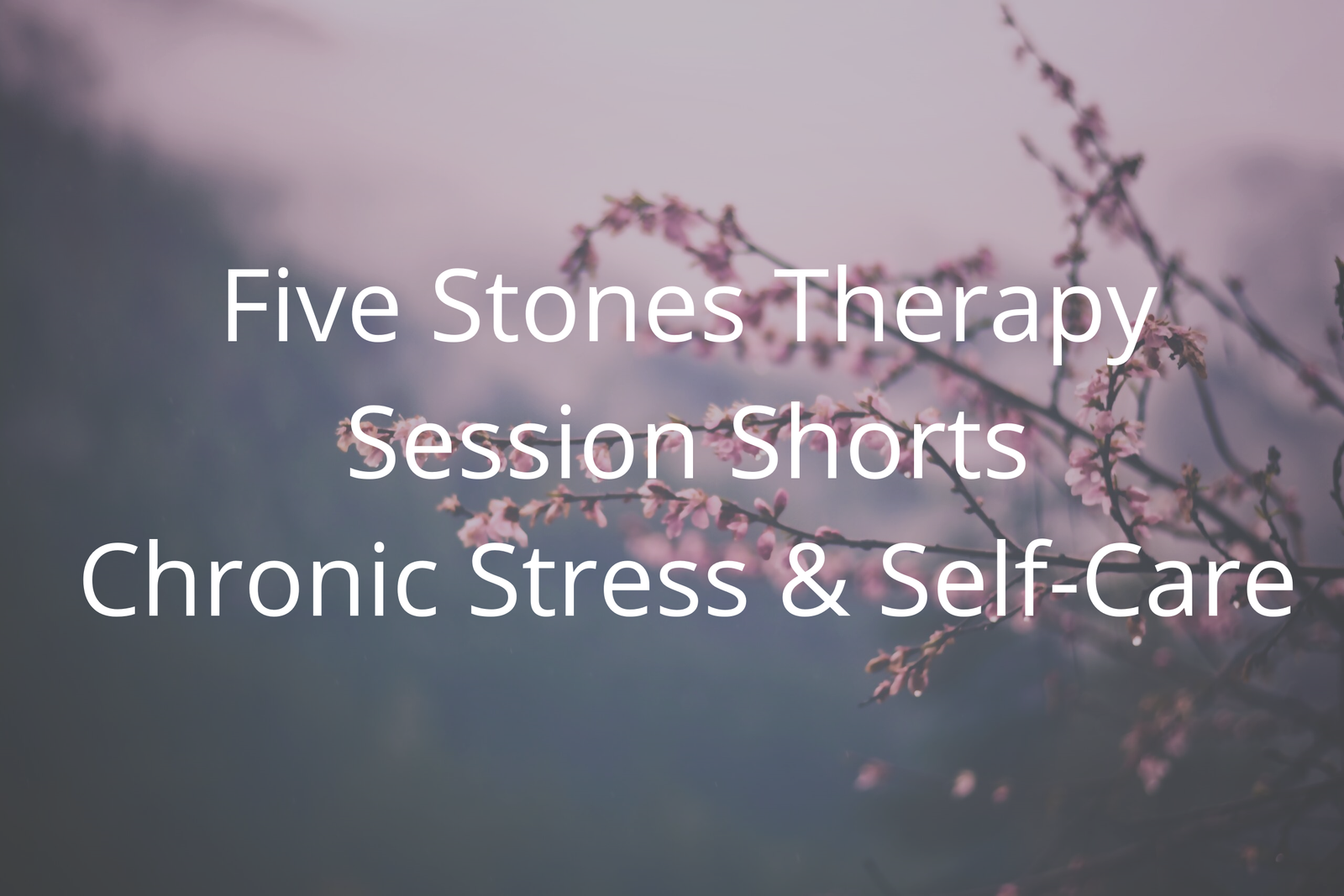 Chronic Stress & Self-Care - Five Stones Therapy