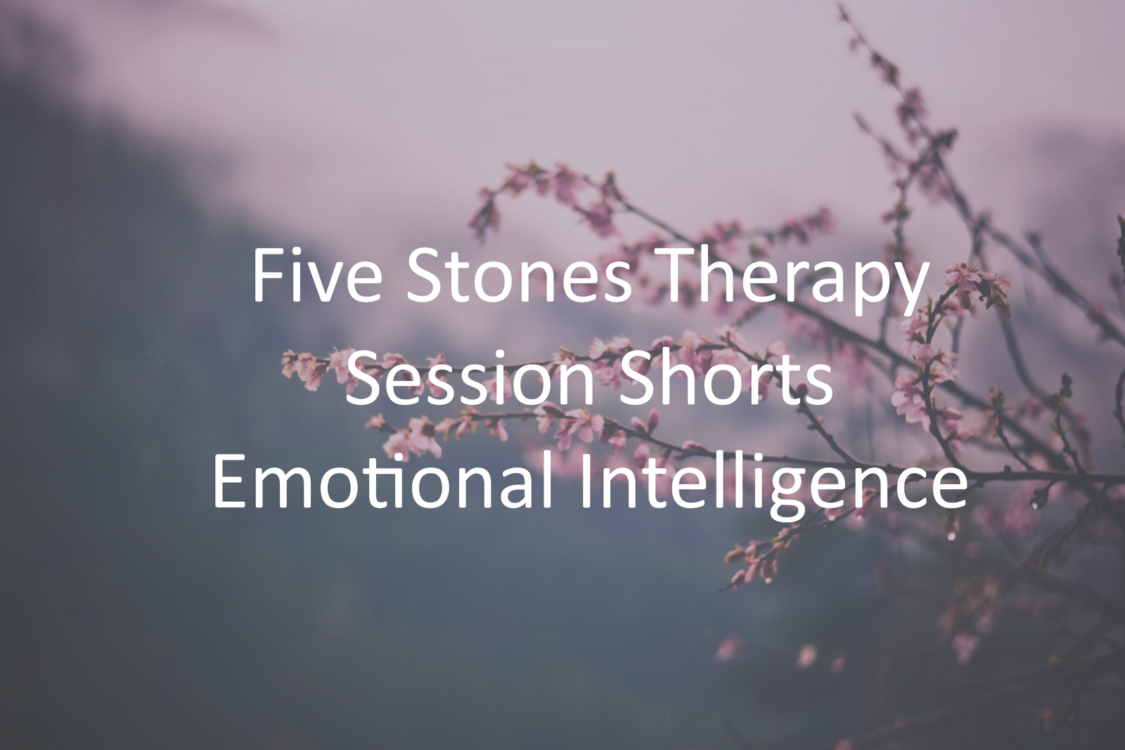 Emotional Intelligence - Five Stones Therapy