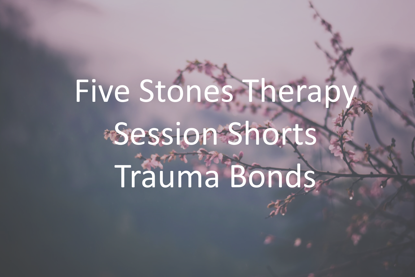 Trauma Bonds - Five Stones Therapy